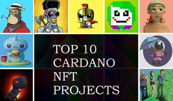 Best Cardano NFT Projects With Collection in 2023 - Nftcrypto.io